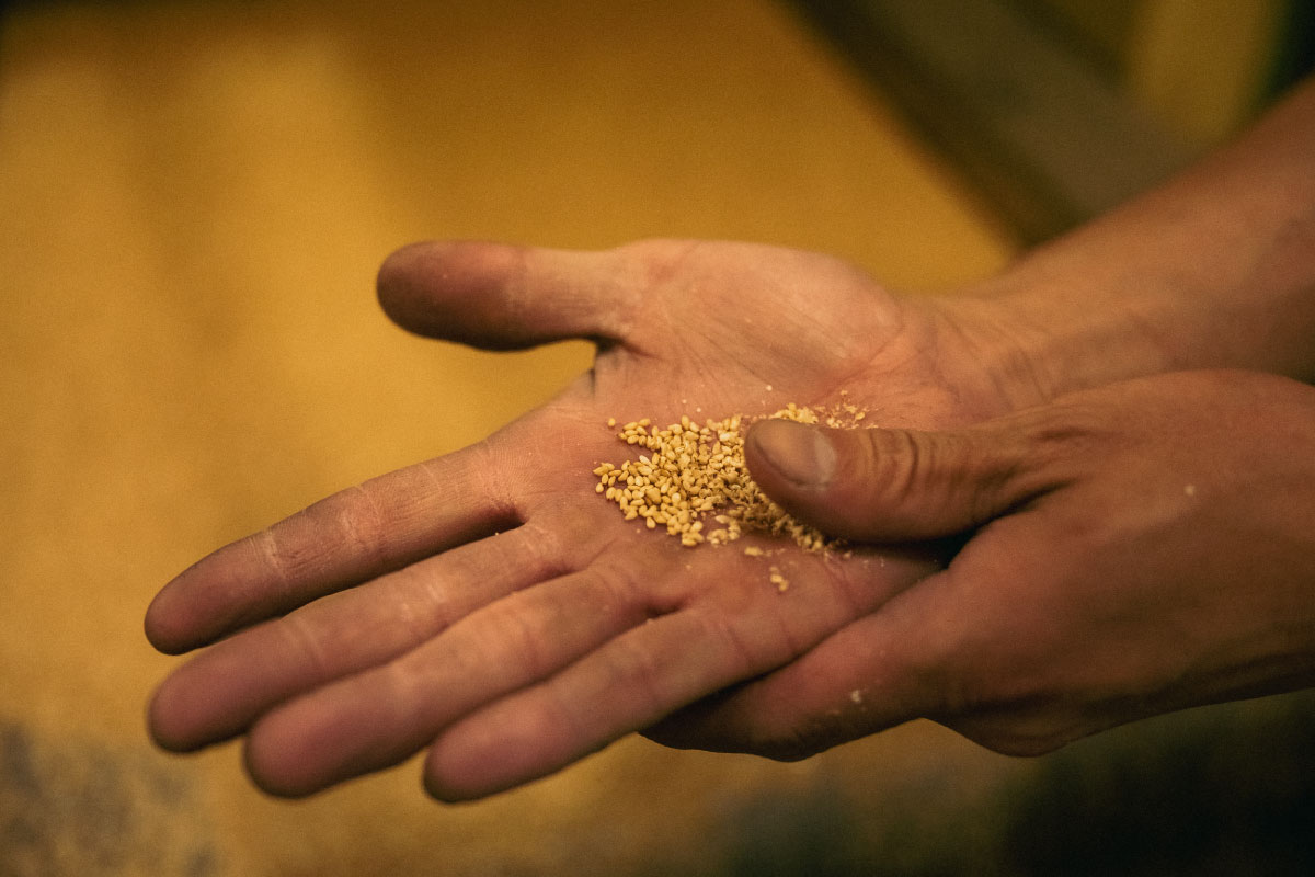 20_和田萬 - FactorISM(ファクトリズム) 2022 | 関西初オープンファクトリー（工場見学・ワークショップ）イベント │ 八尾市・東大阪市・堺市・門真市